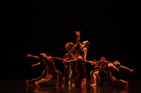 Open Level House with D’Roc: Sat, Sep 14, 2024